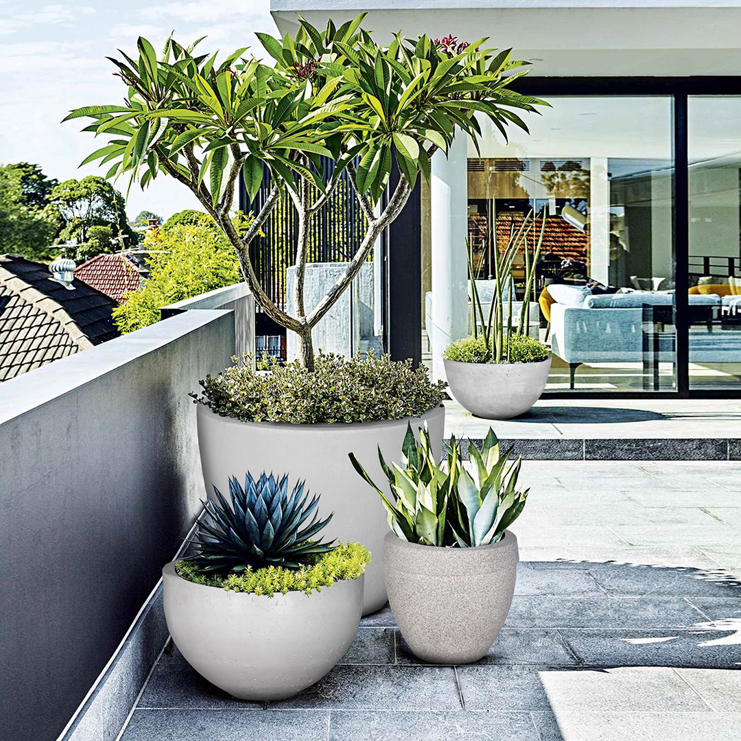 Round Pots | The Pot & Planter