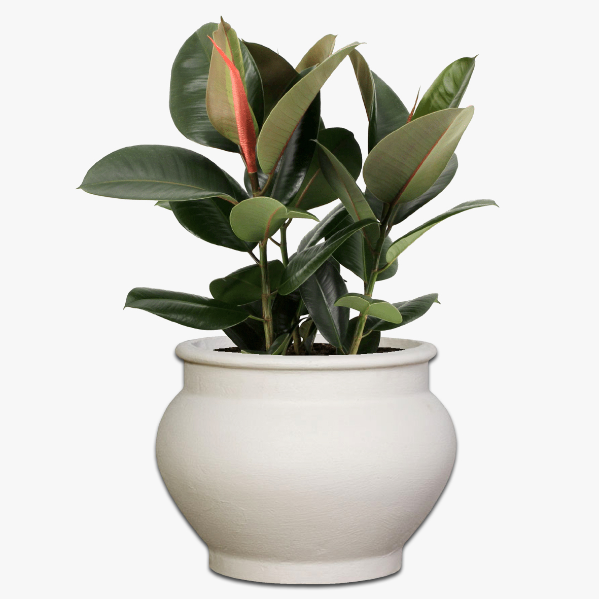 Round Pots - thepotandplanter