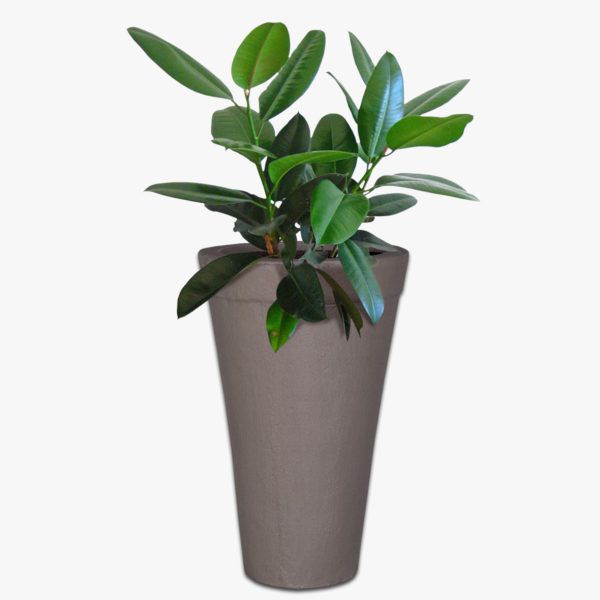 Round Garden Pots thepotandplanter