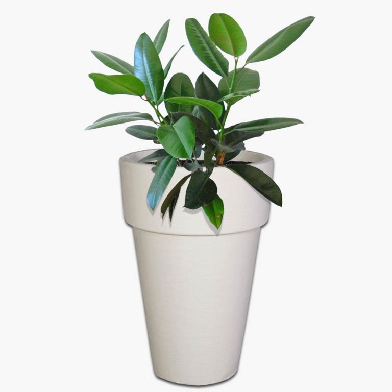 Rum Concrete Pot - thepotandplanter