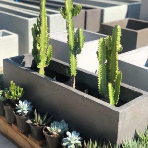 Curo Trough - thepotandplanter