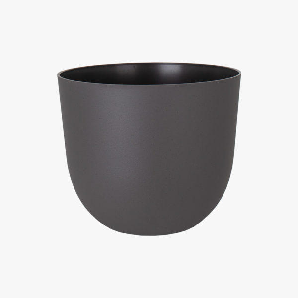 Indoor - thepotandplanter