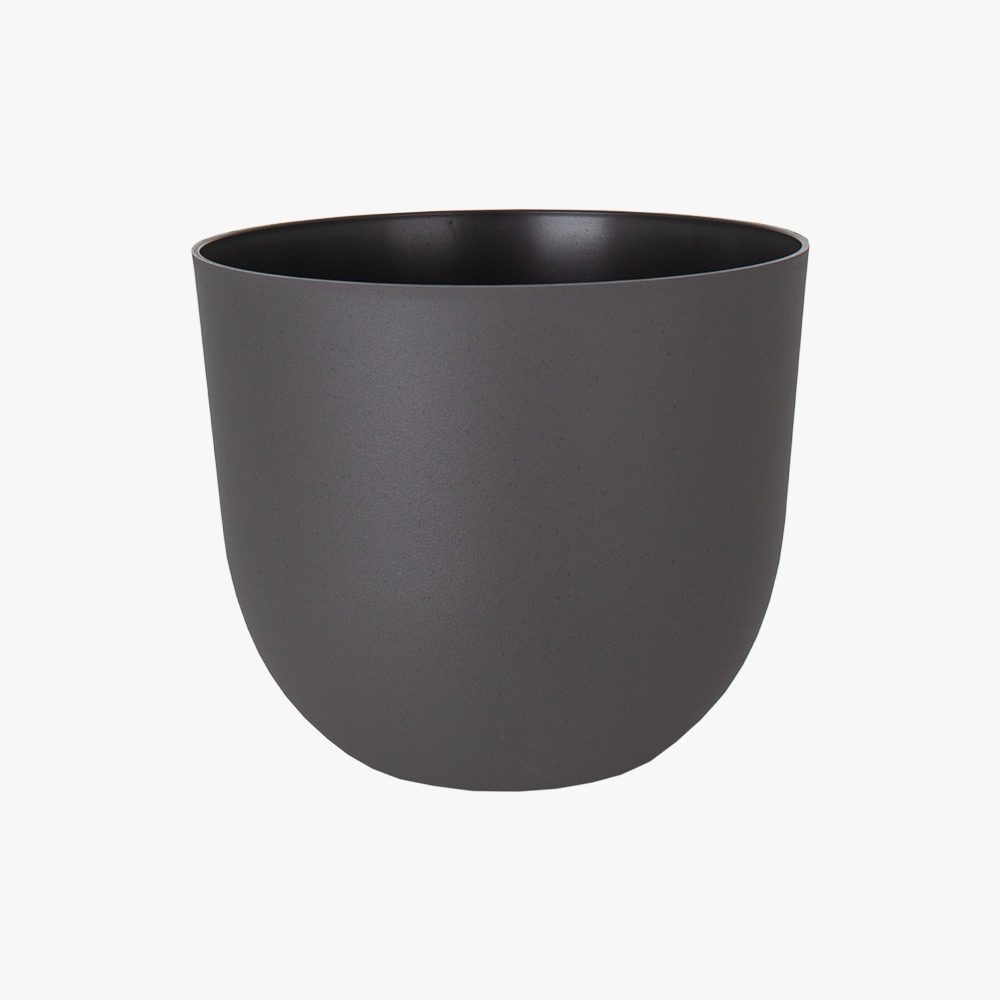 Indoor - thepotandplanter