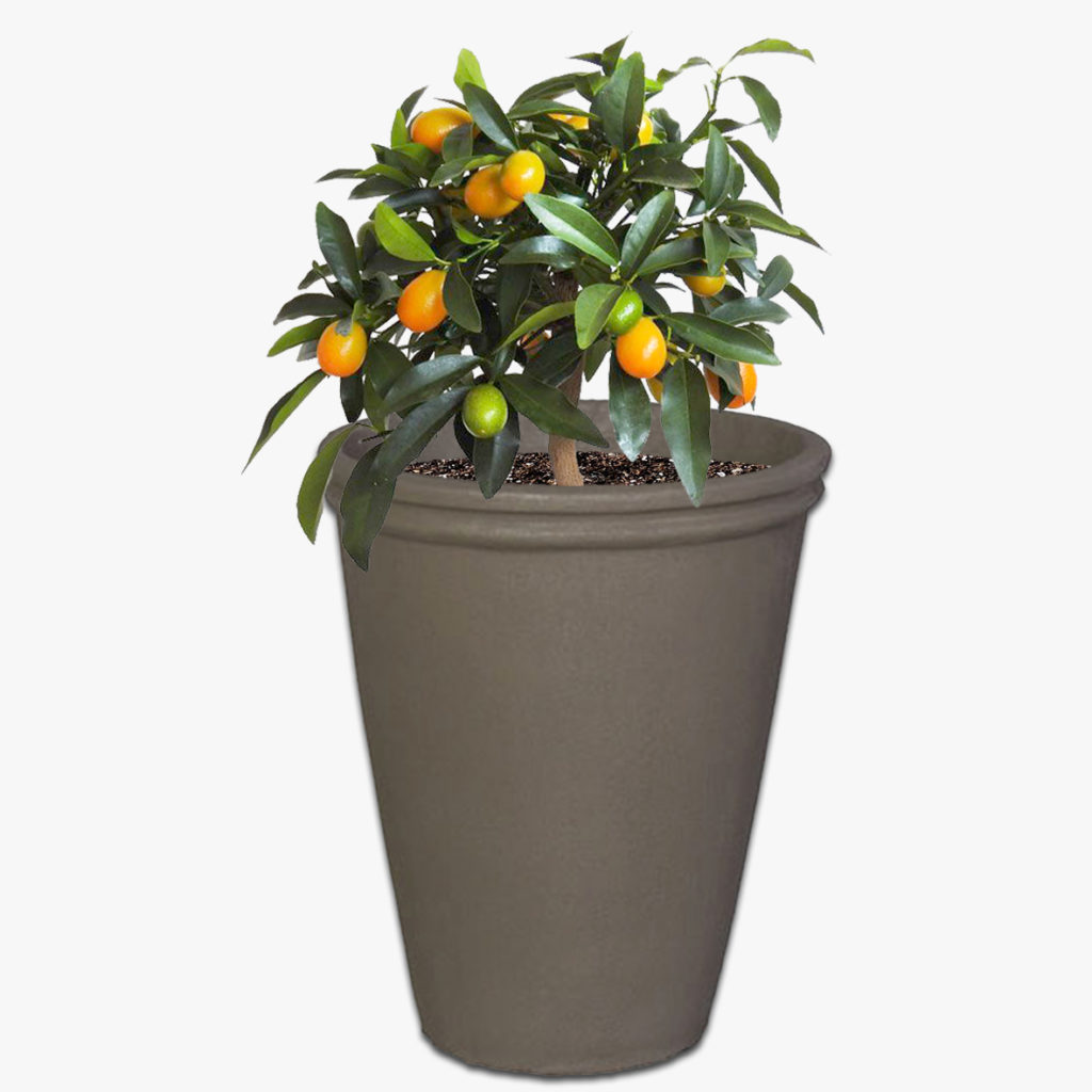 Crete Concrete Pot - thepotandplanter