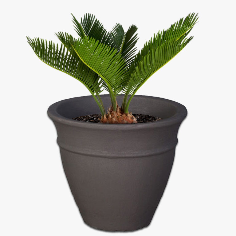 Curo Trough - thepotandplanter