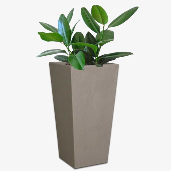 Curo Trough - thepotandplanter