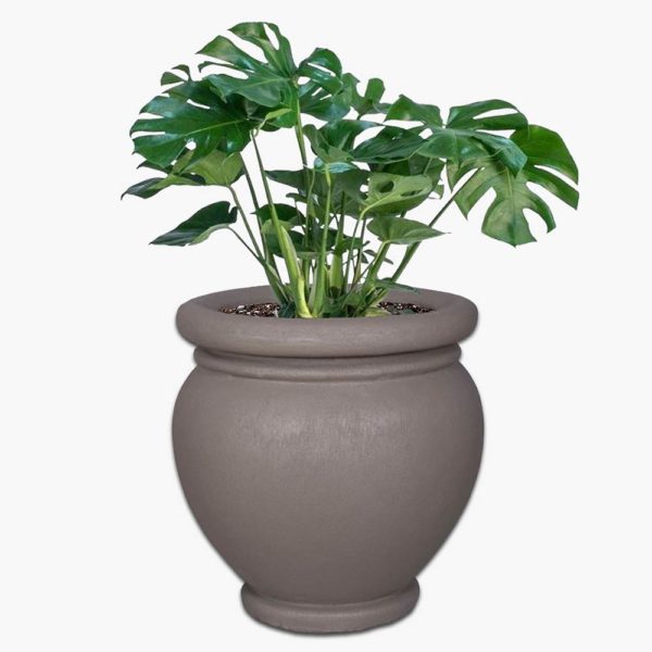 Rum Concrete Pot - thepotandplanter