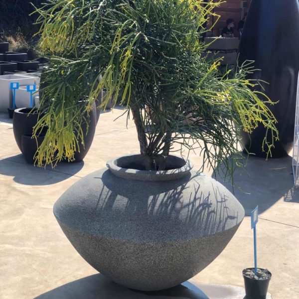 Rum Concrete Pot - thepotandplanter