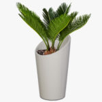 Shop - thepotandplanter