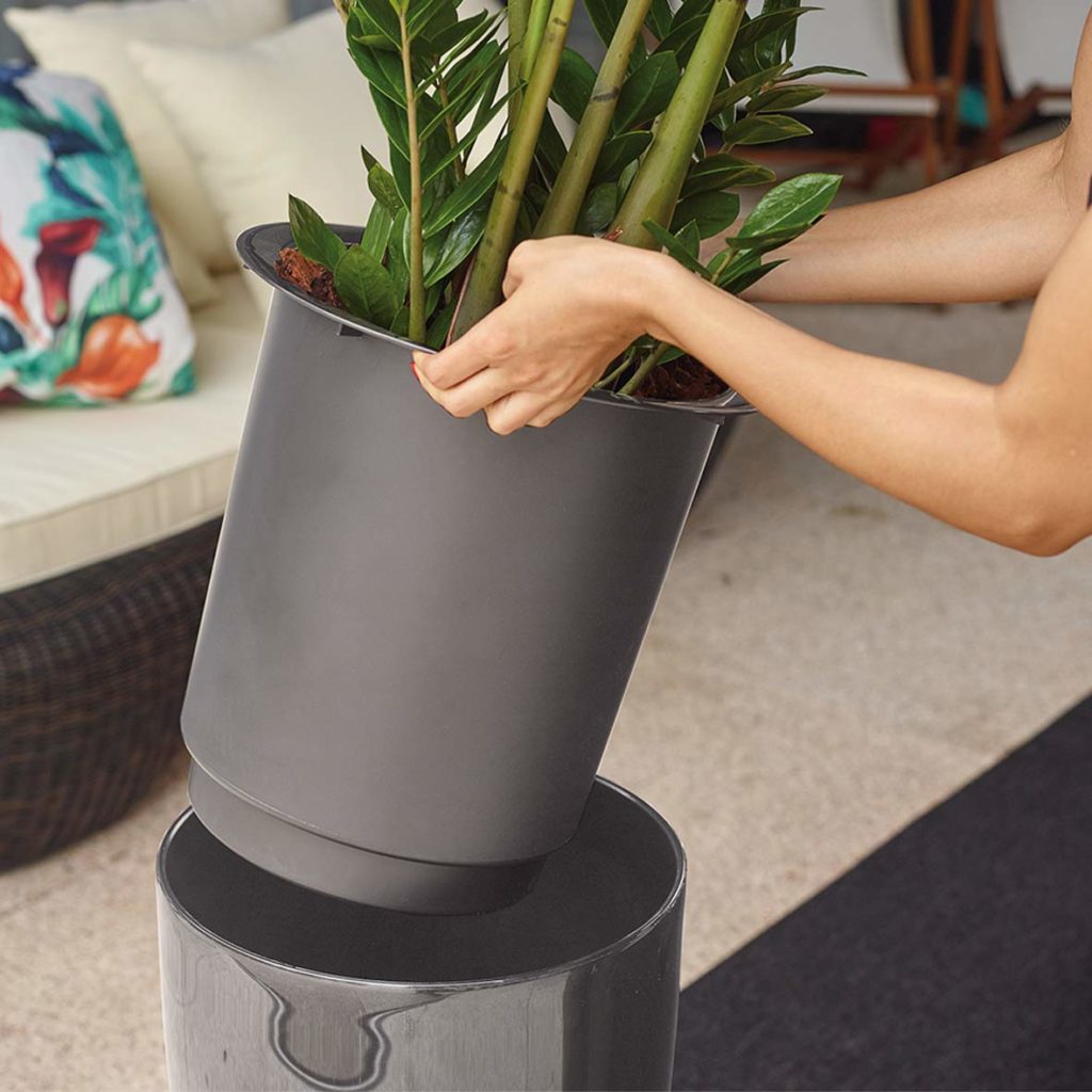 Shop - thepotandplanter