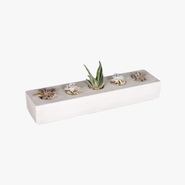 Cube Concrete Pot - thepotandplanter