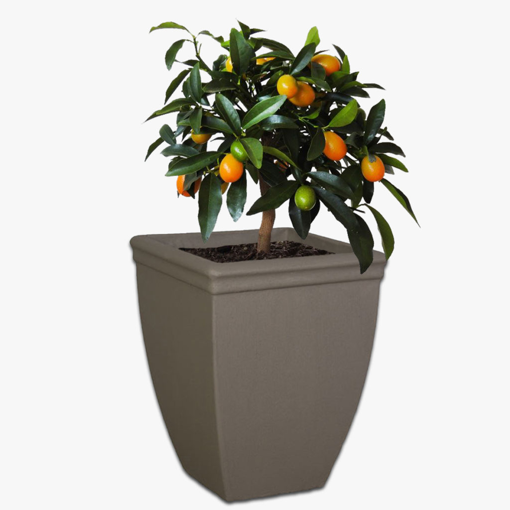 Curo Trough - thepotandplanter