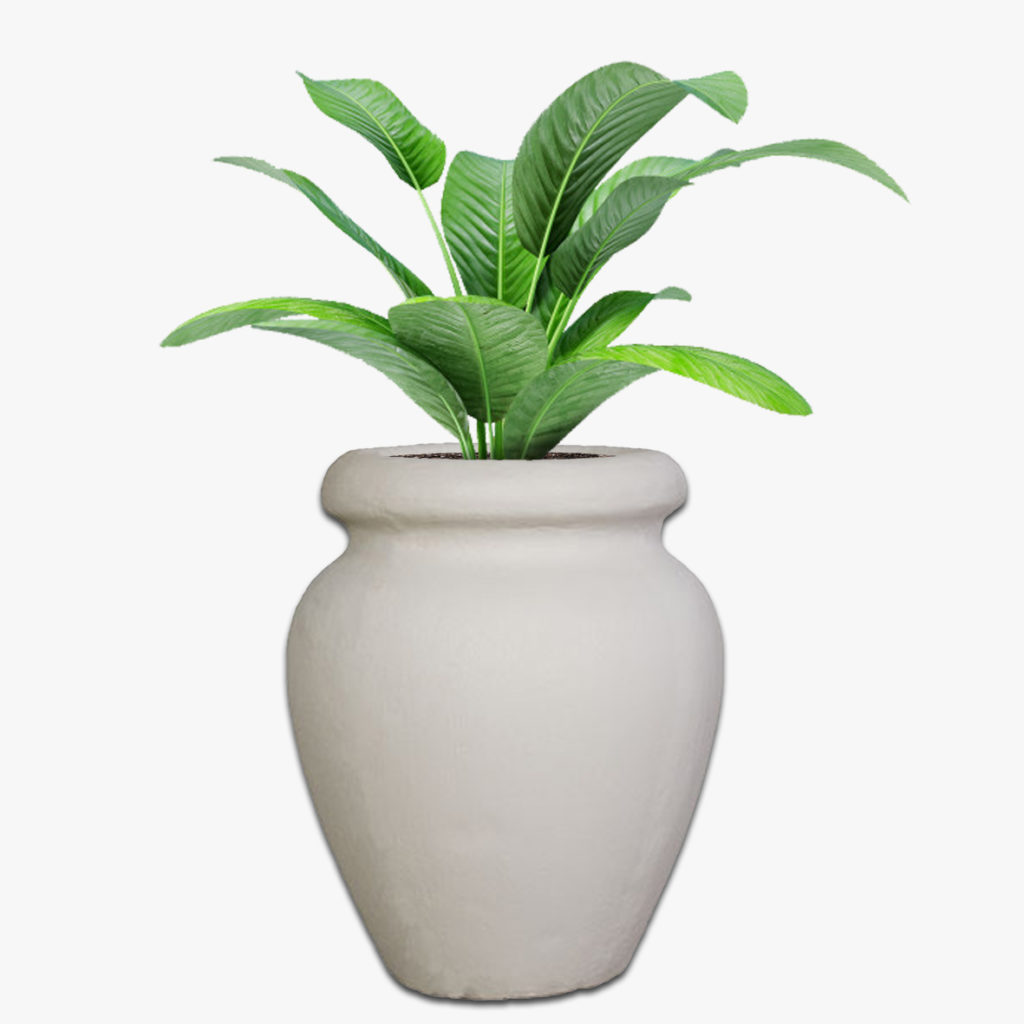 Round Pots - thepotandplanter