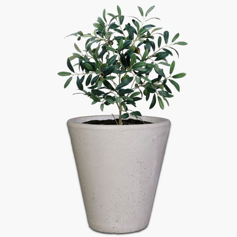 Rum Concrete Pot - thepotandplanter