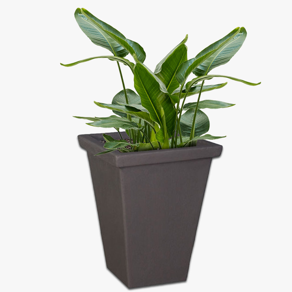 Curo Trough - thepotandplanter