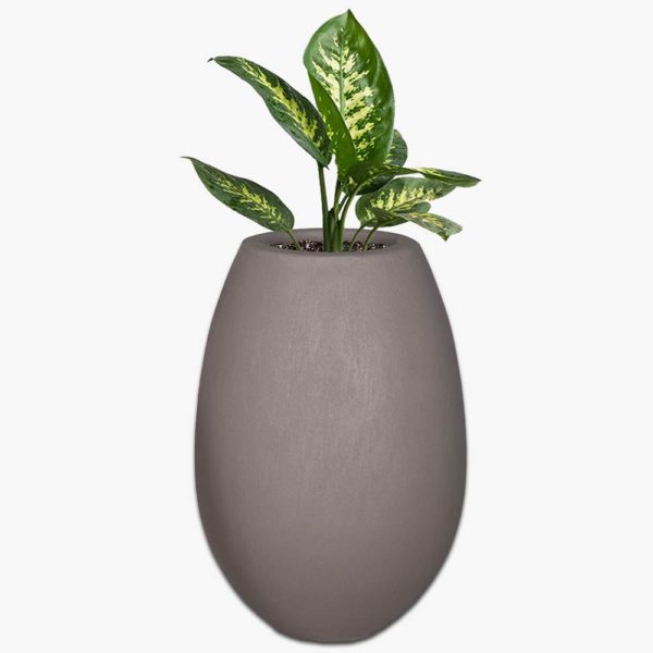 Rum Concrete Pot - thepotandplanter