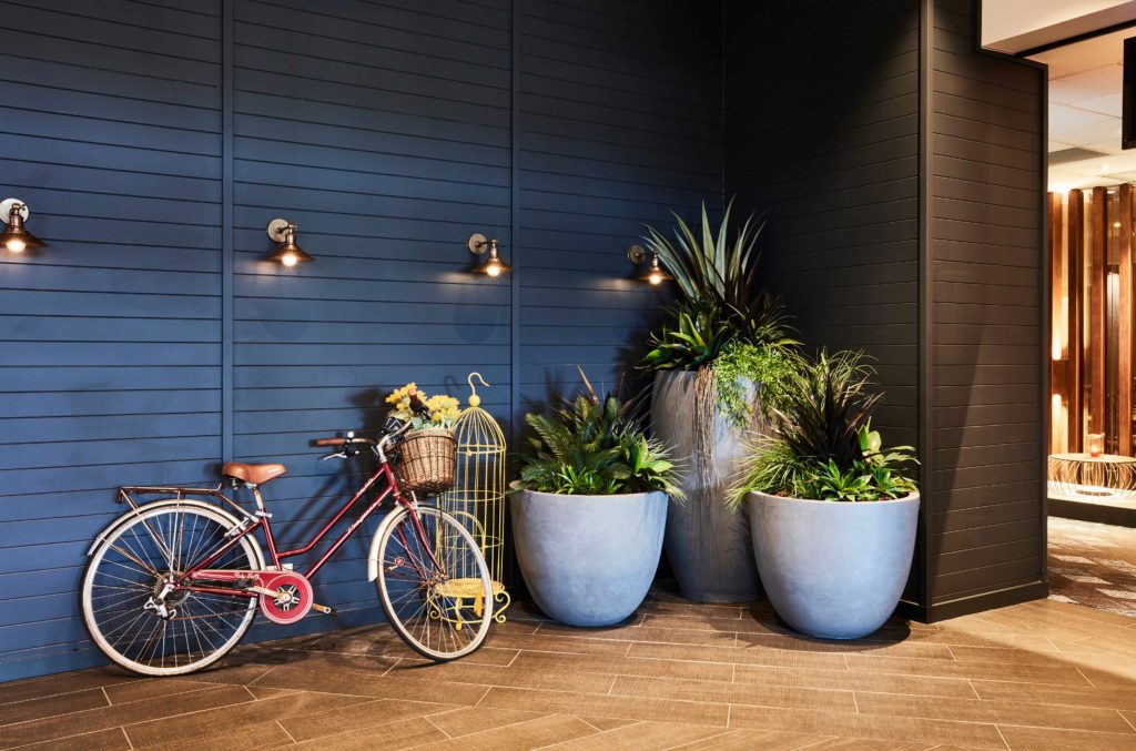 Shop - thepotandplanter