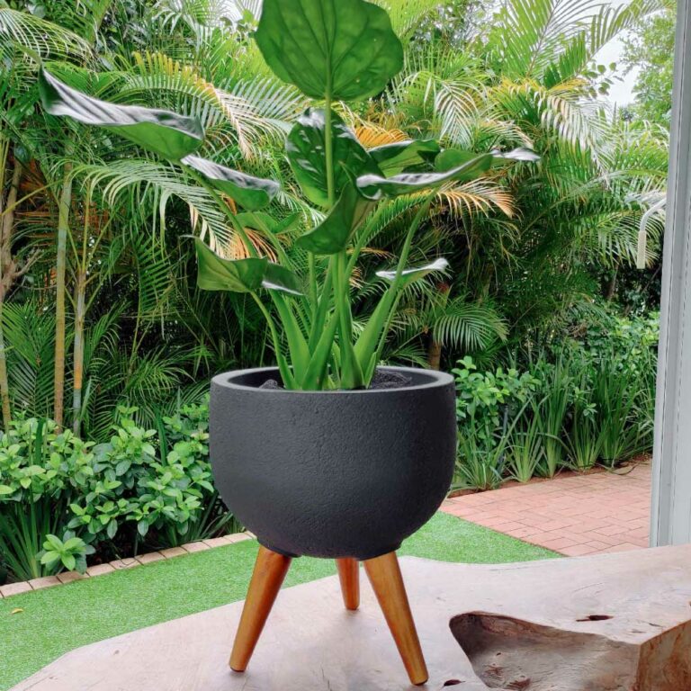 Bios Medium Planter - thepotandplanter